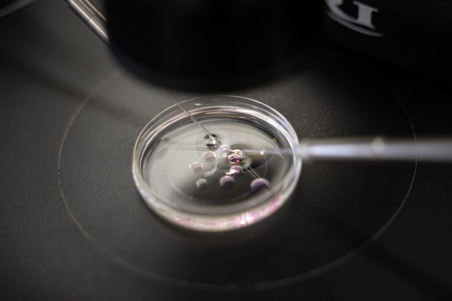 Fertility Testing - Leicester Fertility Centre